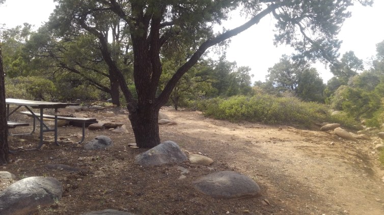 Packsaddle Mountain – up the easy way and down the hard way – Are We ...