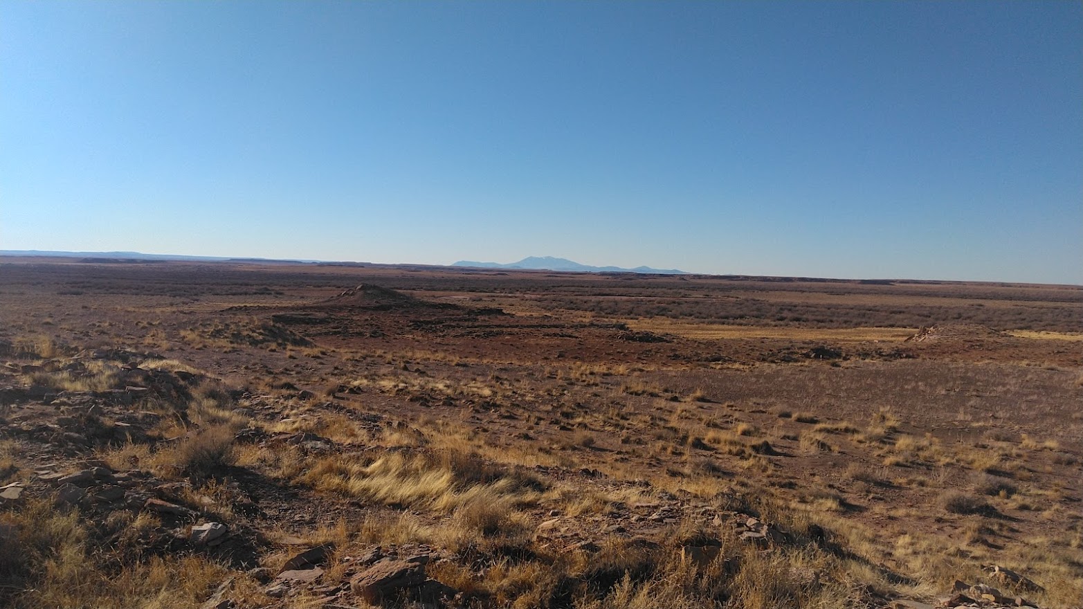 The reluctant history of Homolovi State Park – Are We Lost Yet?