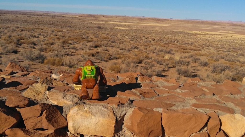 The reluctant history of Homolovi State Park – Are We Lost Yet?